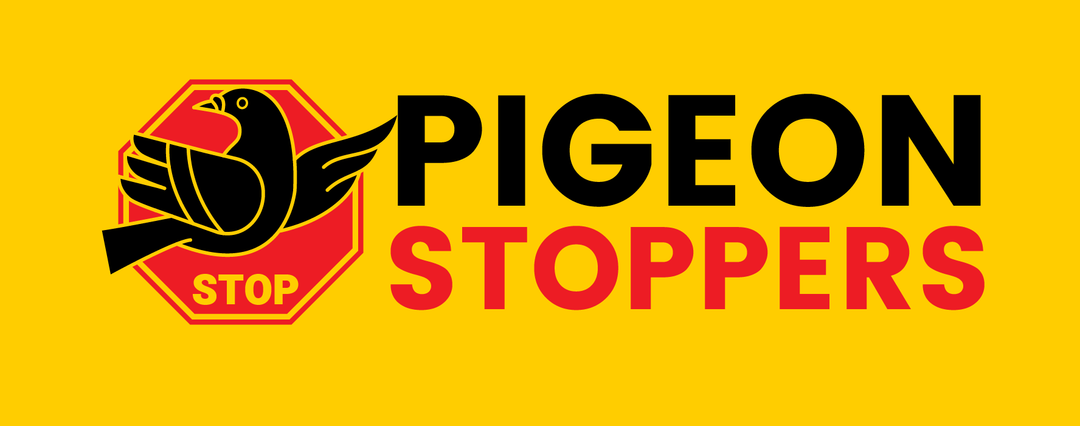 PIGEONSTOPPERS for Pigeon Problem in Cyprus. Bird Netting & Cleaning ...