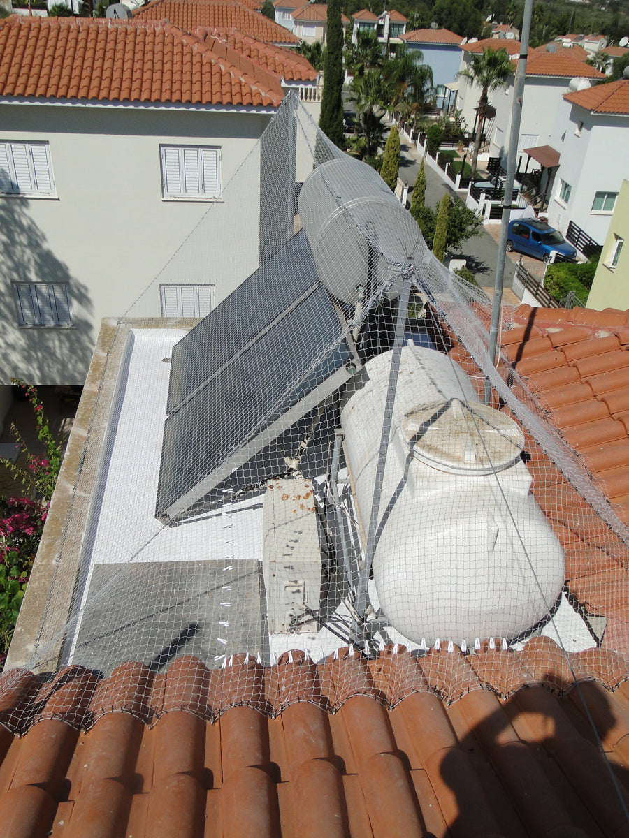 Stopping Pigeons, Sparrows or Starlings Accessing Flat Roof With Speci ...